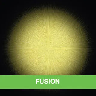 Fusion - January 2026 – Layered Goods B.V.